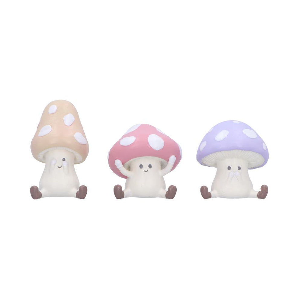 Three Wise Toadstools – Midnight Rose Emporium